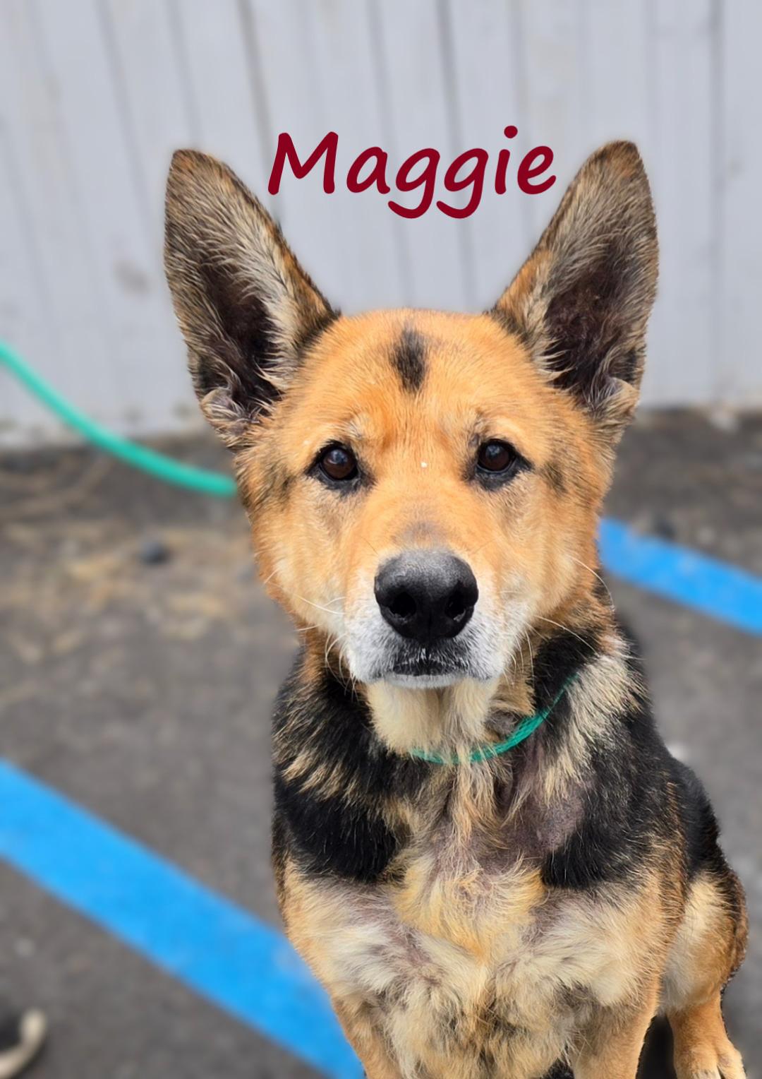 Meet Maggie