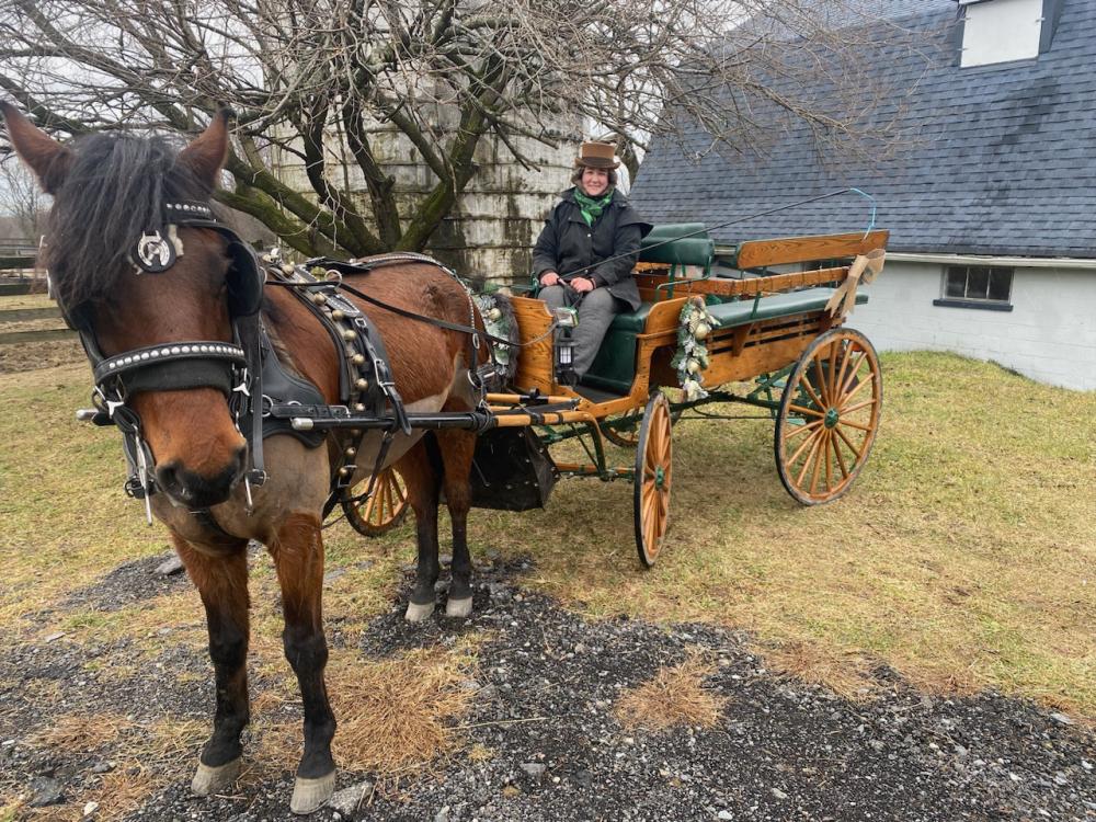 Reviving the horse-drawn carriage with Celtic Valley Carriage & Farm