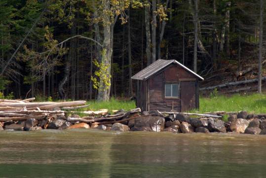 New Camp Clover offerings this summer