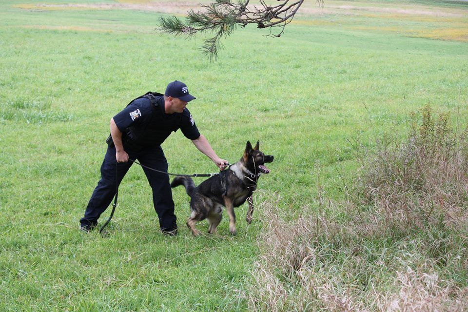 New York State Police start campaign to honor K9 units