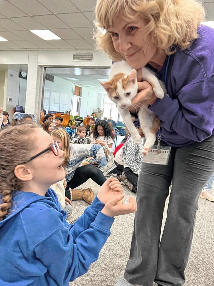 CES artists work with animal shelters on adoption campaign
