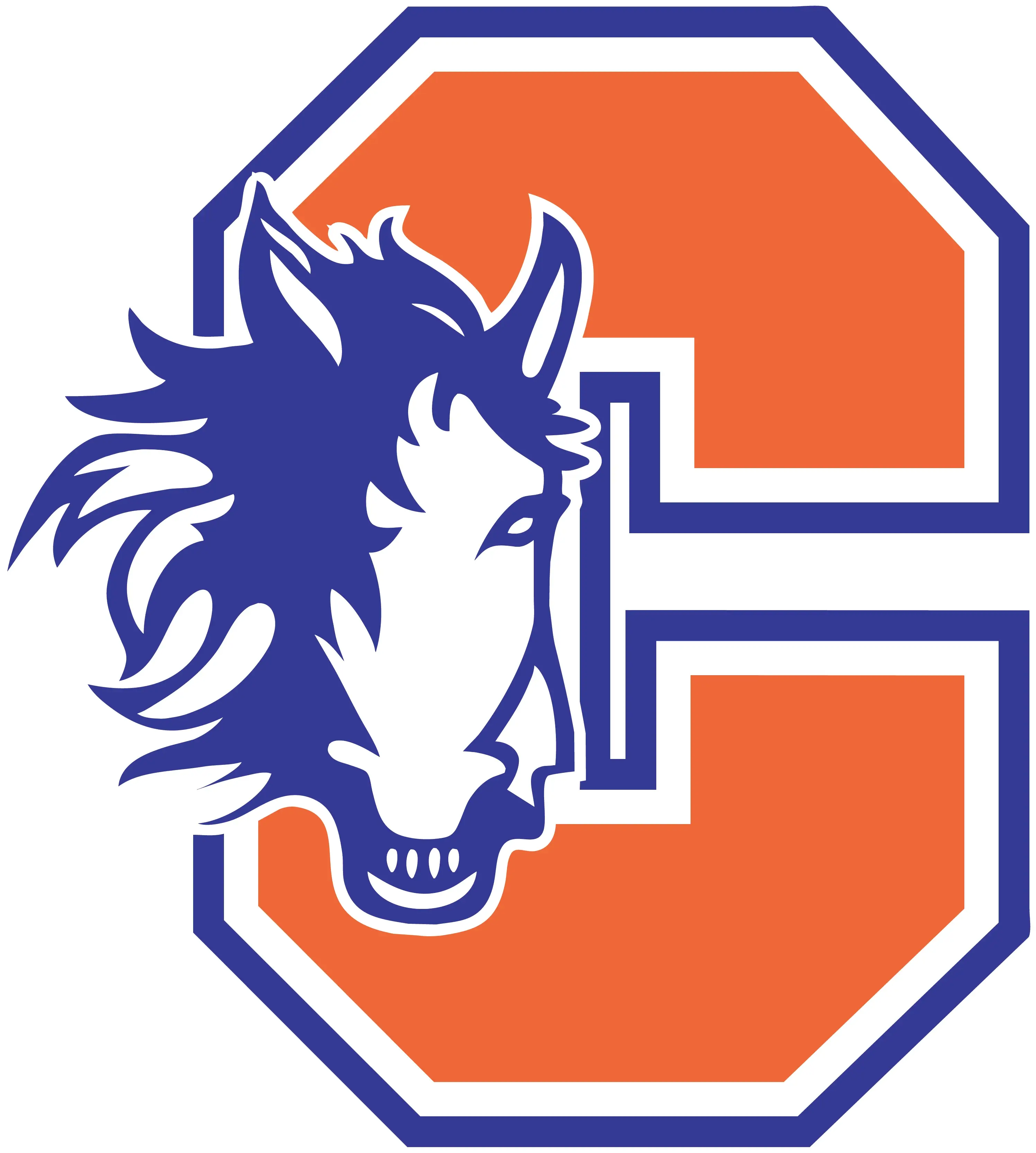 School budget results: Chester Union Free School District