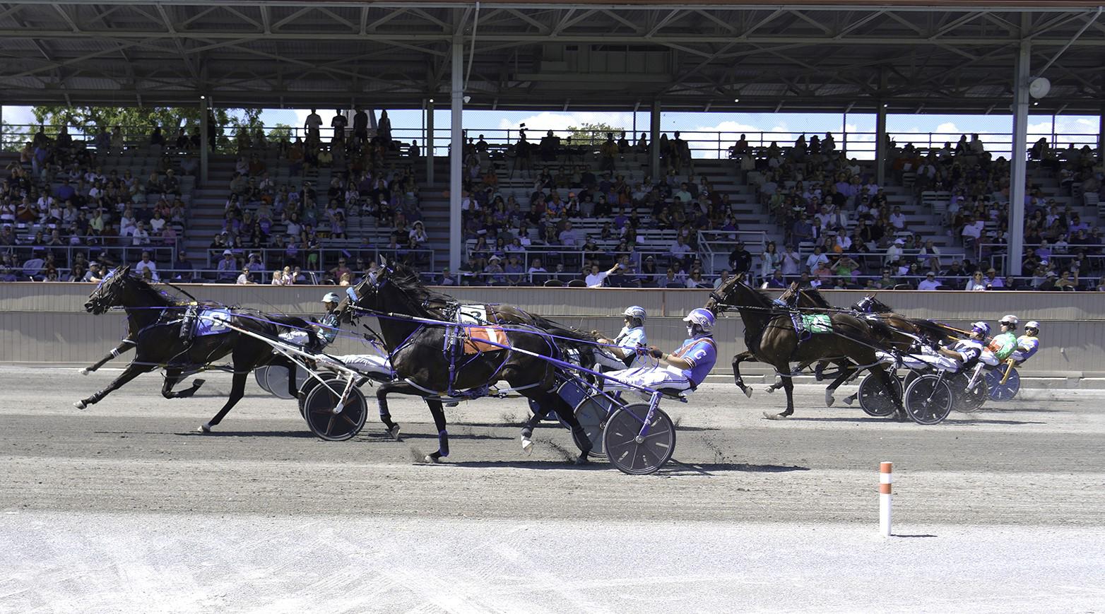 Race season closes out with County Fair Finals