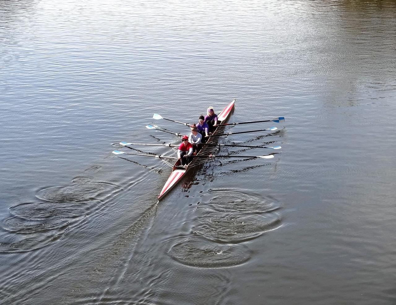 Sign-ups open for Learn-to-Row Regatta